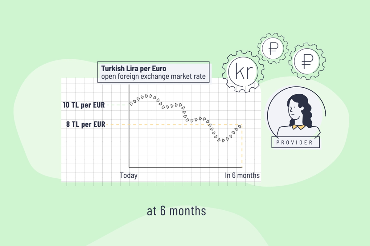Margins in Currency Hedging - Beanbag Animation Studio